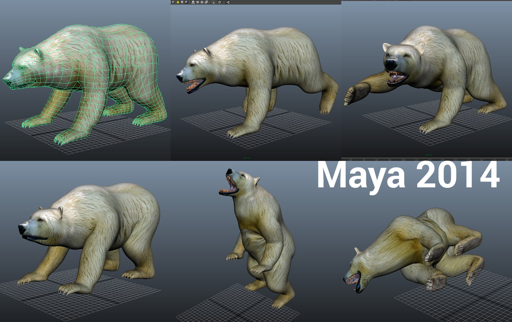 3D model brown bear animation - TurboSquid 1224564