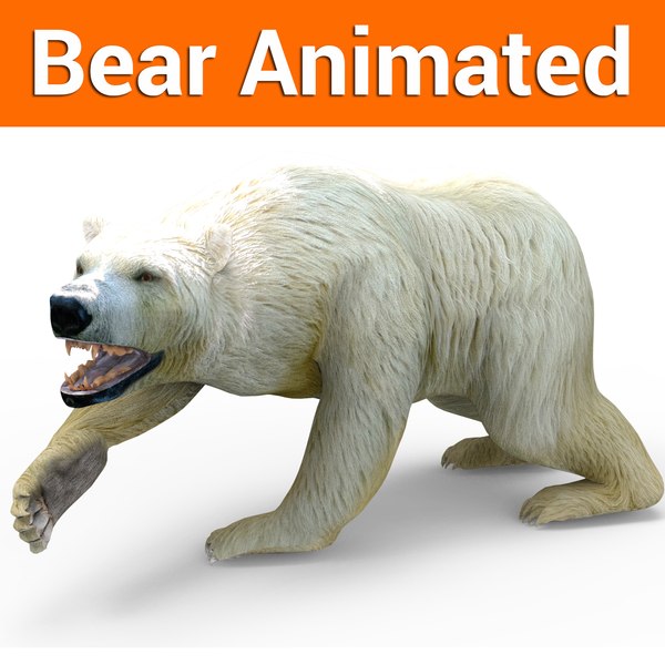 Polar Bear Blender Models for Download | TurboSquid
