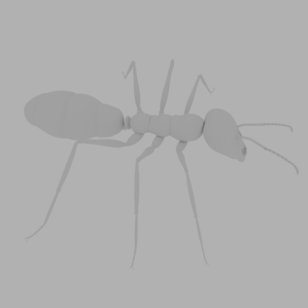 Red Ant 3D Model - TurboSquid 1211048