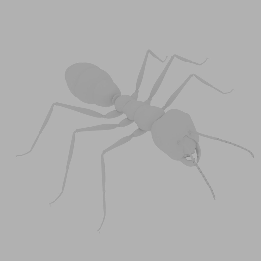 Red Ant 3D Model - TurboSquid 1211048