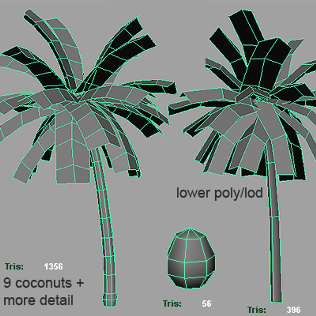 Palm Tree 3d Model