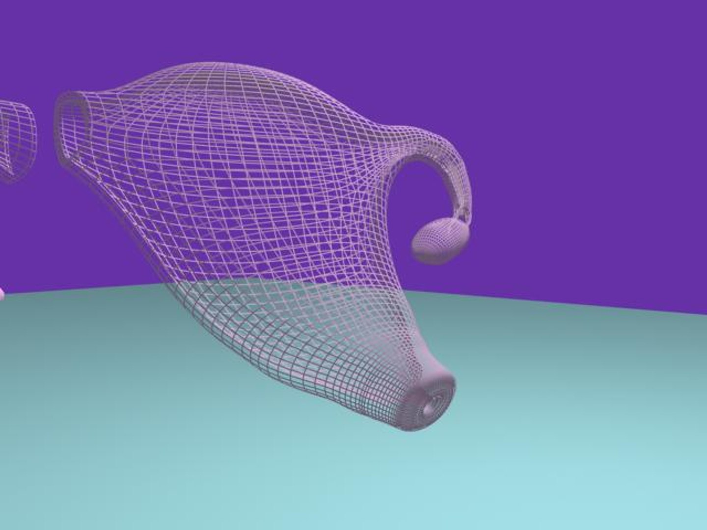 Uterus Cervix Fallopian 3d Model