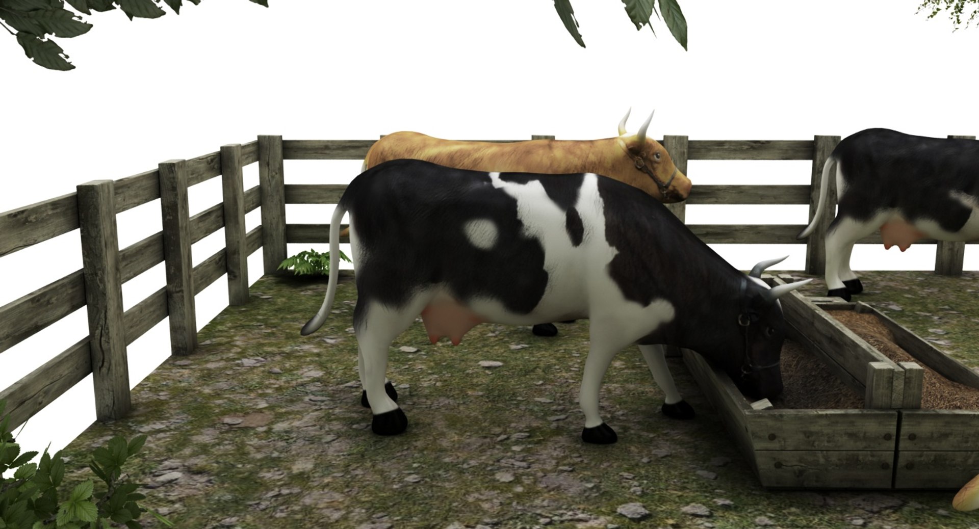 Cow Farm 3D Model - TurboSquid 1422761