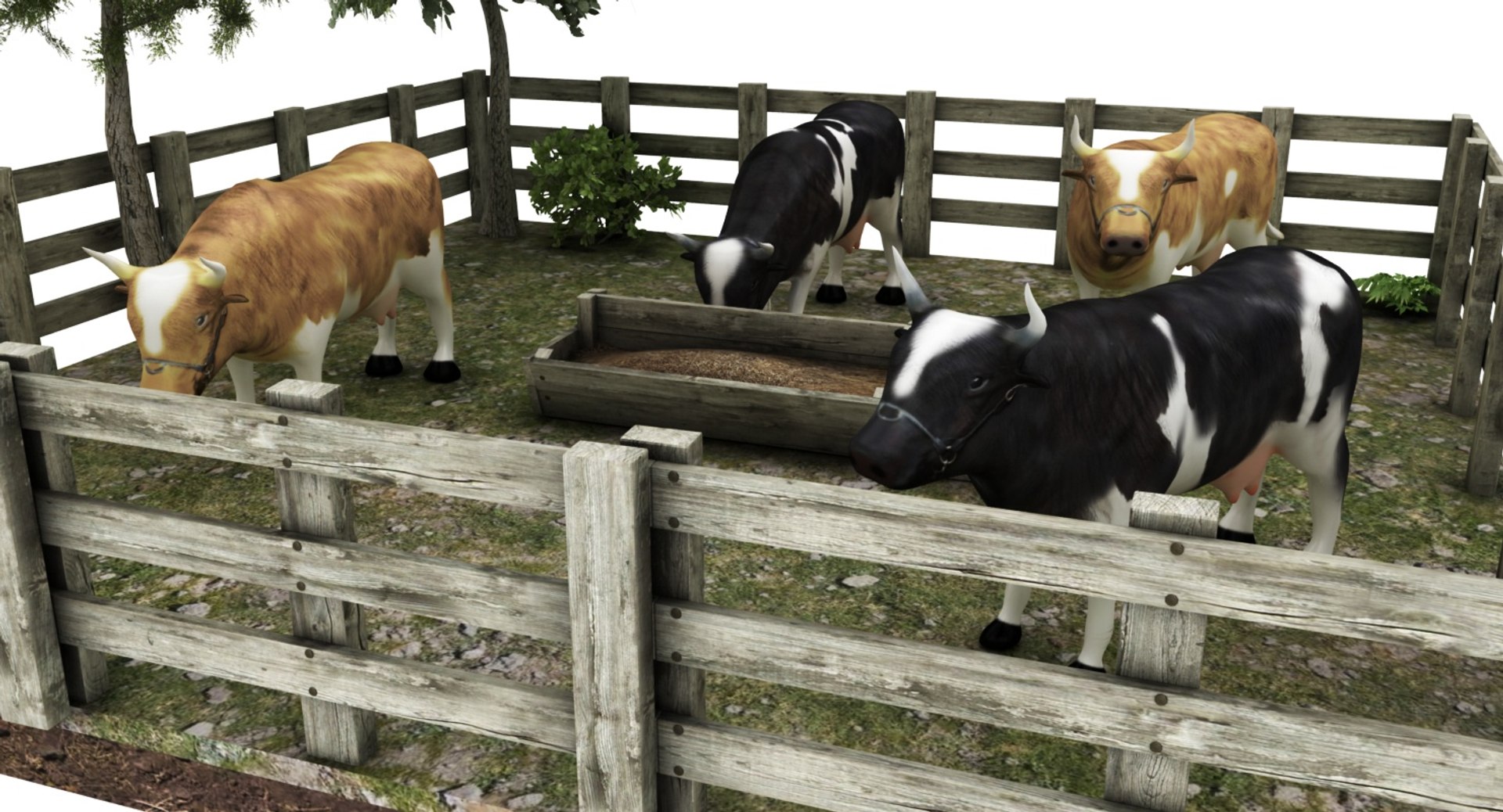 Cow Farm 3D Model - TurboSquid 1422761