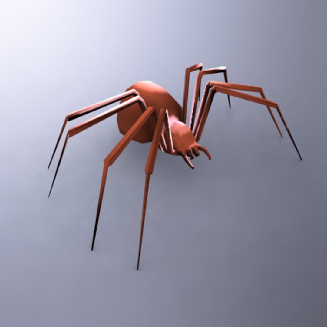 Maya Spider Arachnids