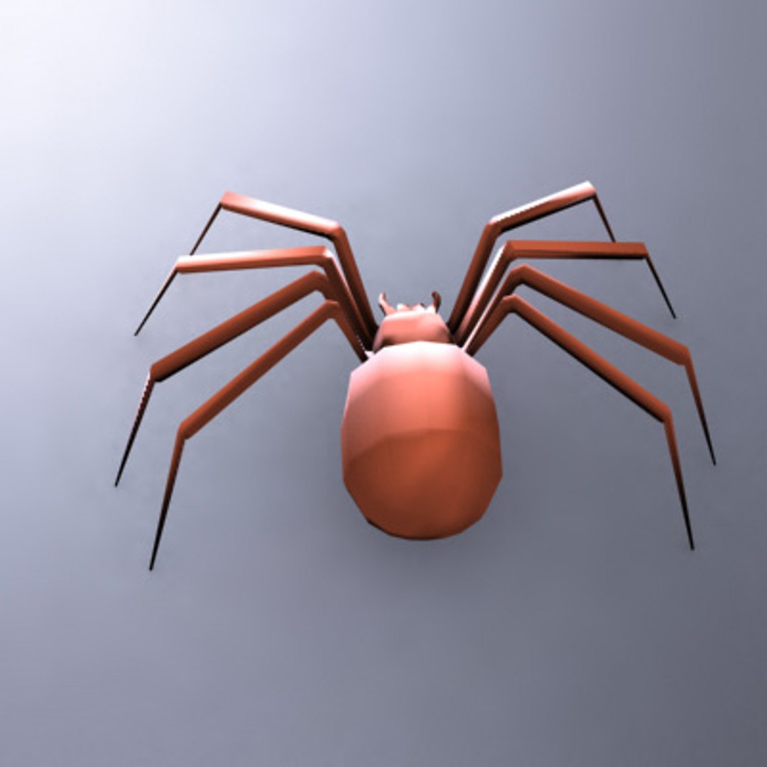 Maya Spider Arachnids