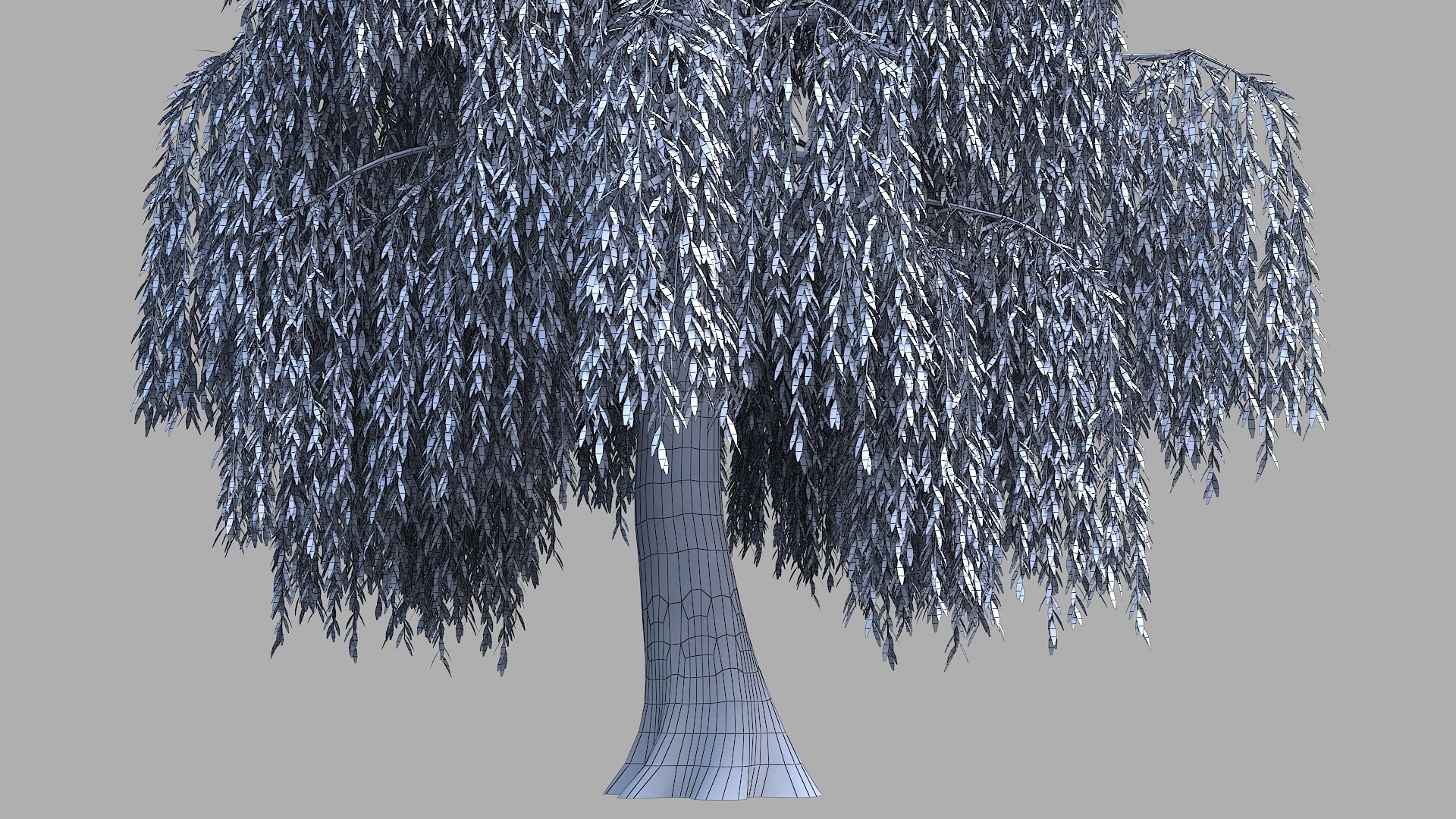 Weeping Willow Tree Model - TurboSquid 1948252