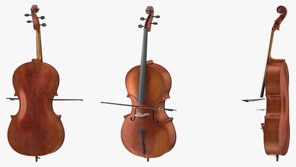 Stringed instruments 5 3D model - TurboSquid 1522535