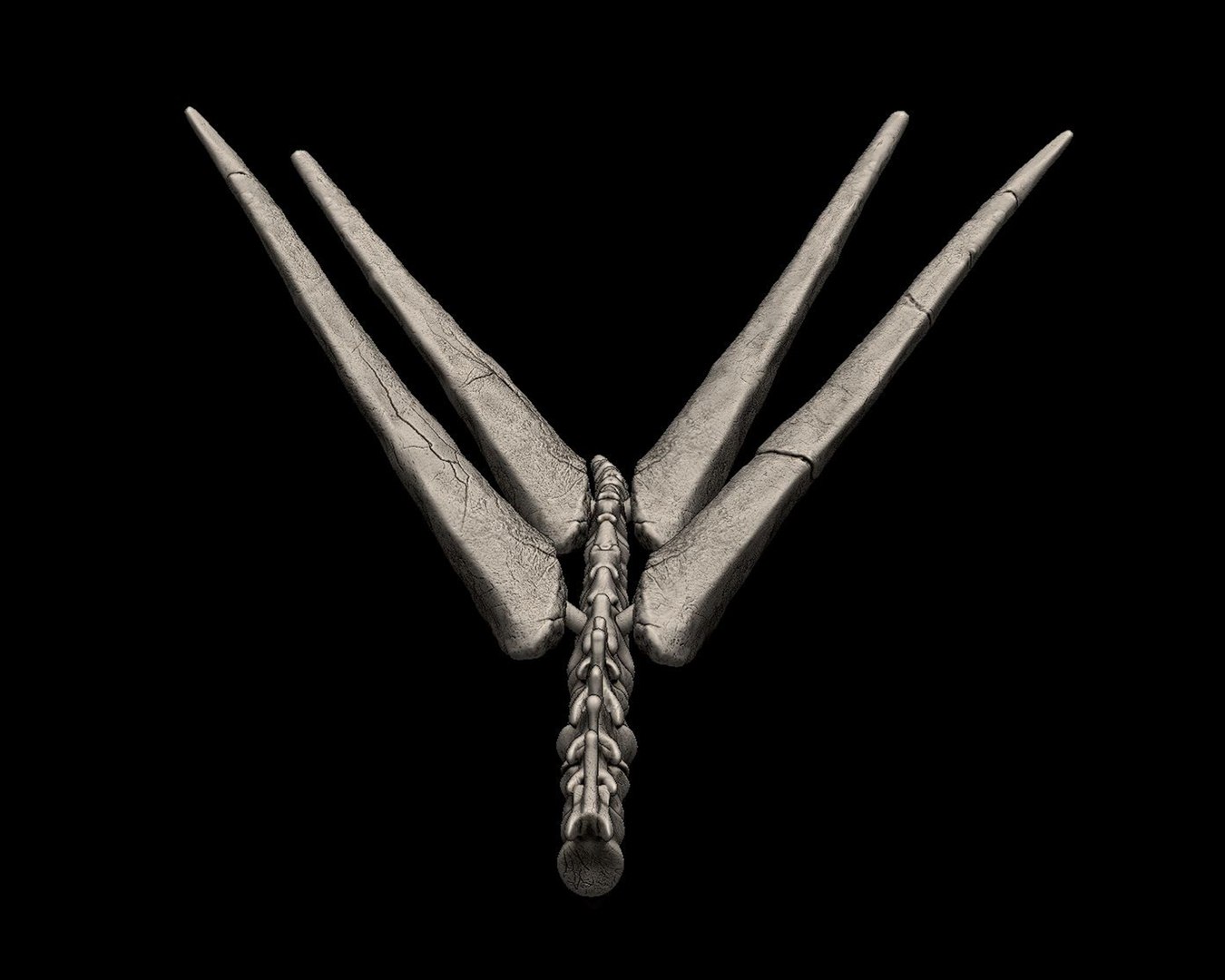 3D Stegosaurus Tail Bones - TurboSquid 2395604