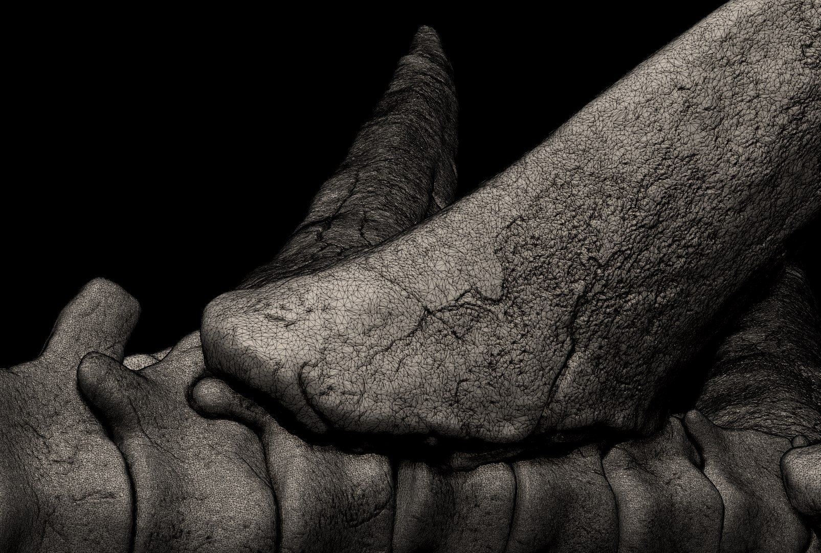 3D Stegosaurus Tail Bones - TurboSquid 2395604