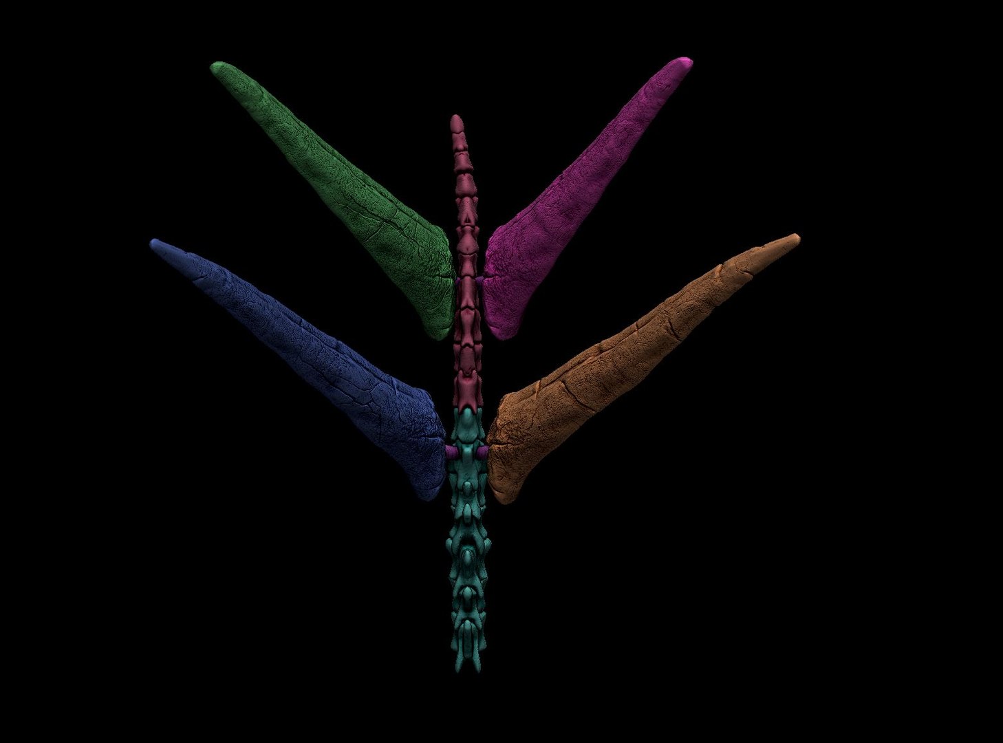 3D Stegosaurus Tail Bones - TurboSquid 2395604