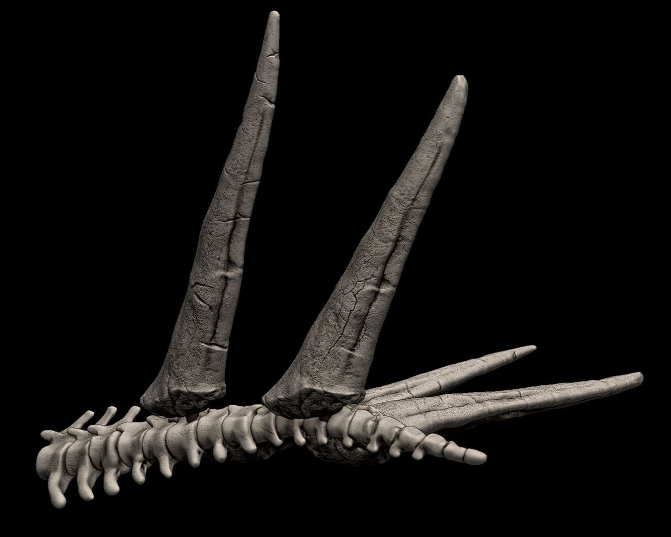 3D Stegosaurus Tail Bones - TurboSquid 2395604