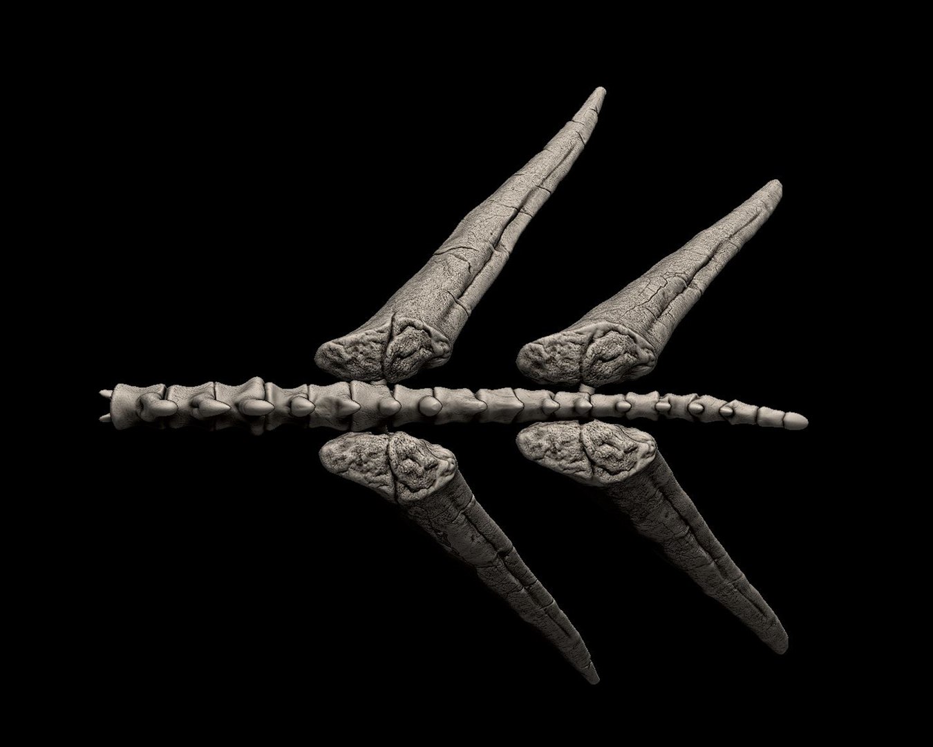 3D Stegosaurus Tail Bones - TurboSquid 2395604