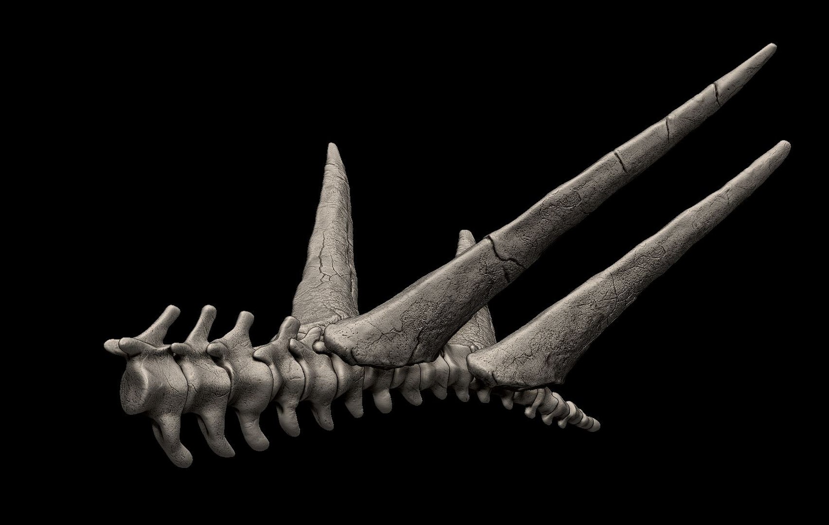 3D Stegosaurus Tail Bones - TurboSquid 2395604