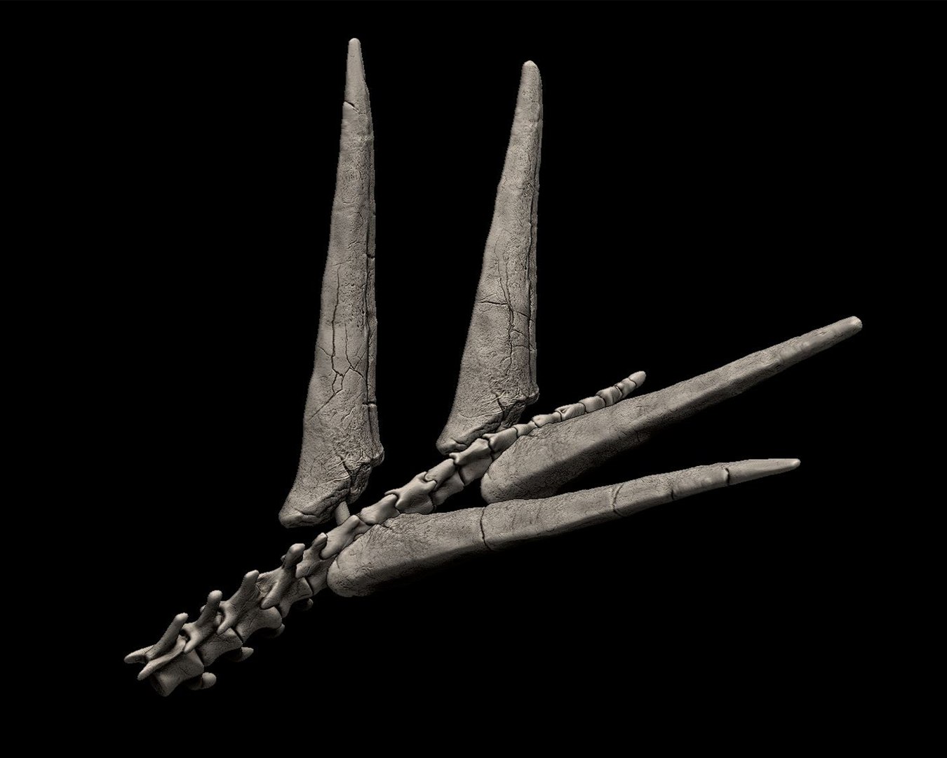 3D Stegosaurus Tail Bones - TurboSquid 2395604