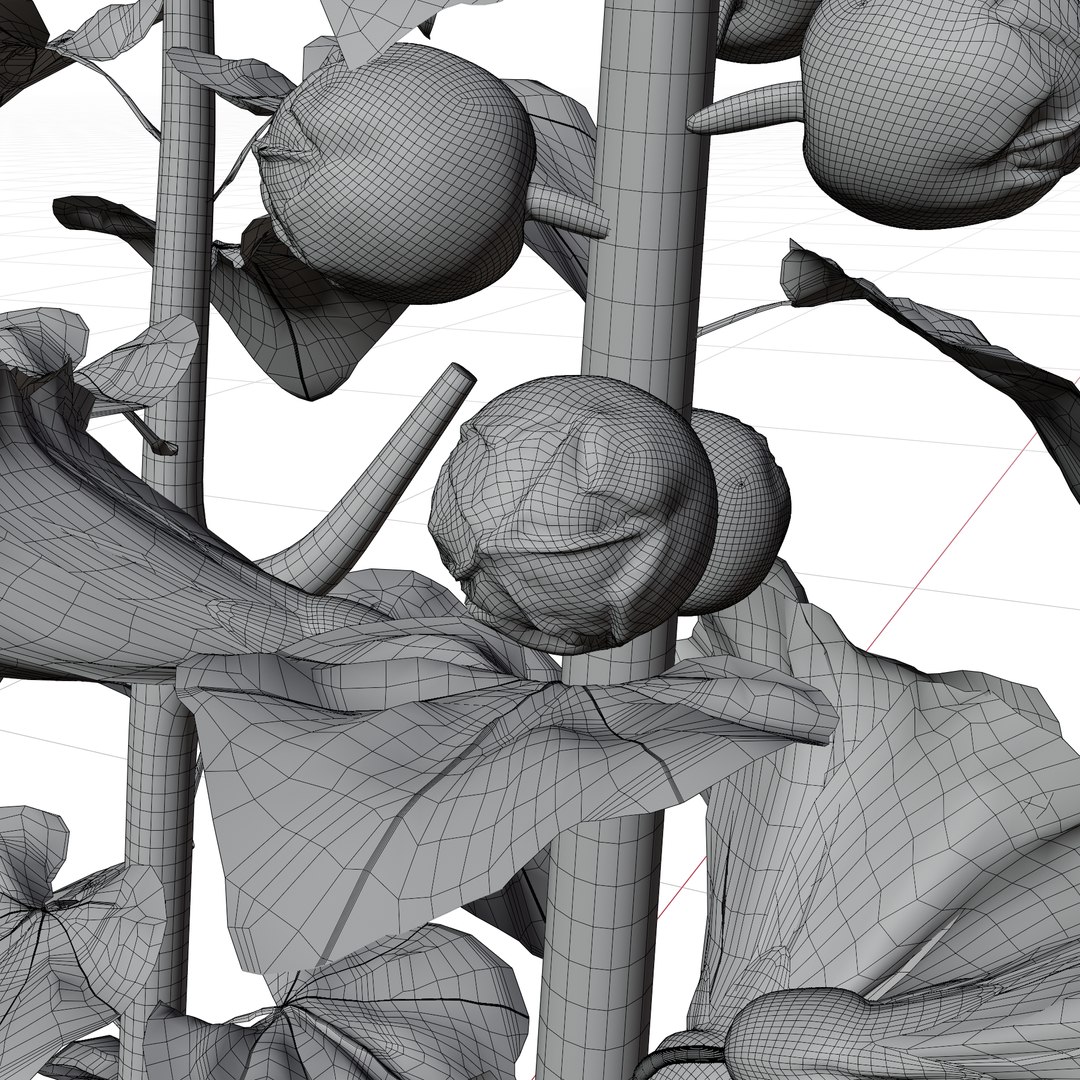 Alcea Rosea Or Hollyhock 3D Model - TurboSquid 2287840