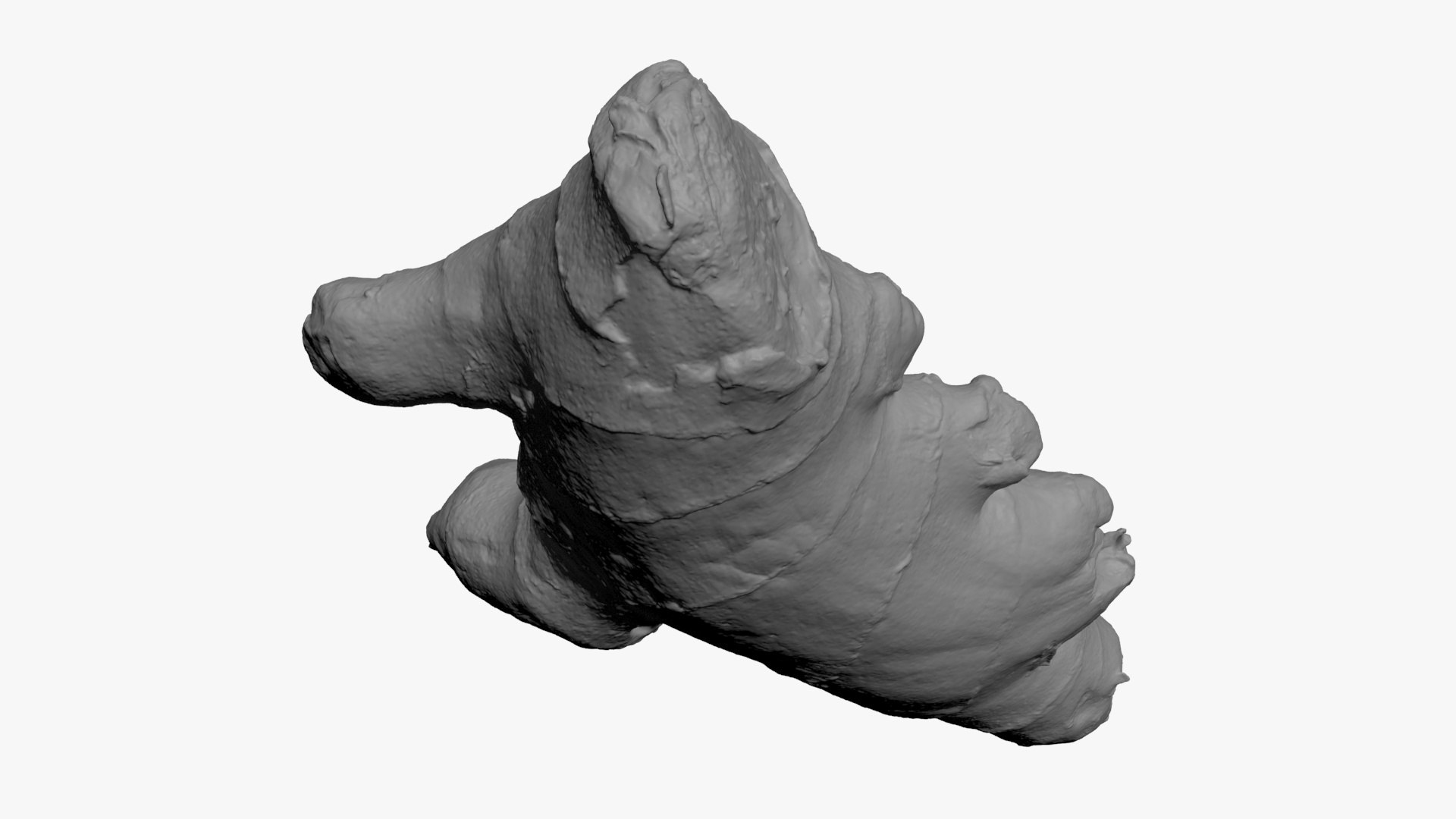 Ginger Root 01 For 3D Print 3D - TurboSquid 2387960
