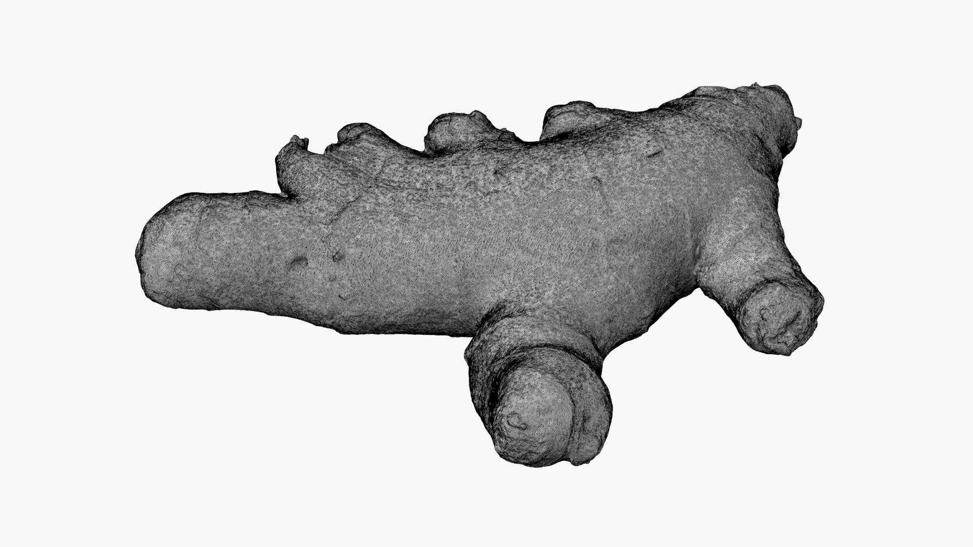 Ginger Root 01 For 3D Print 3D - TurboSquid 2387960