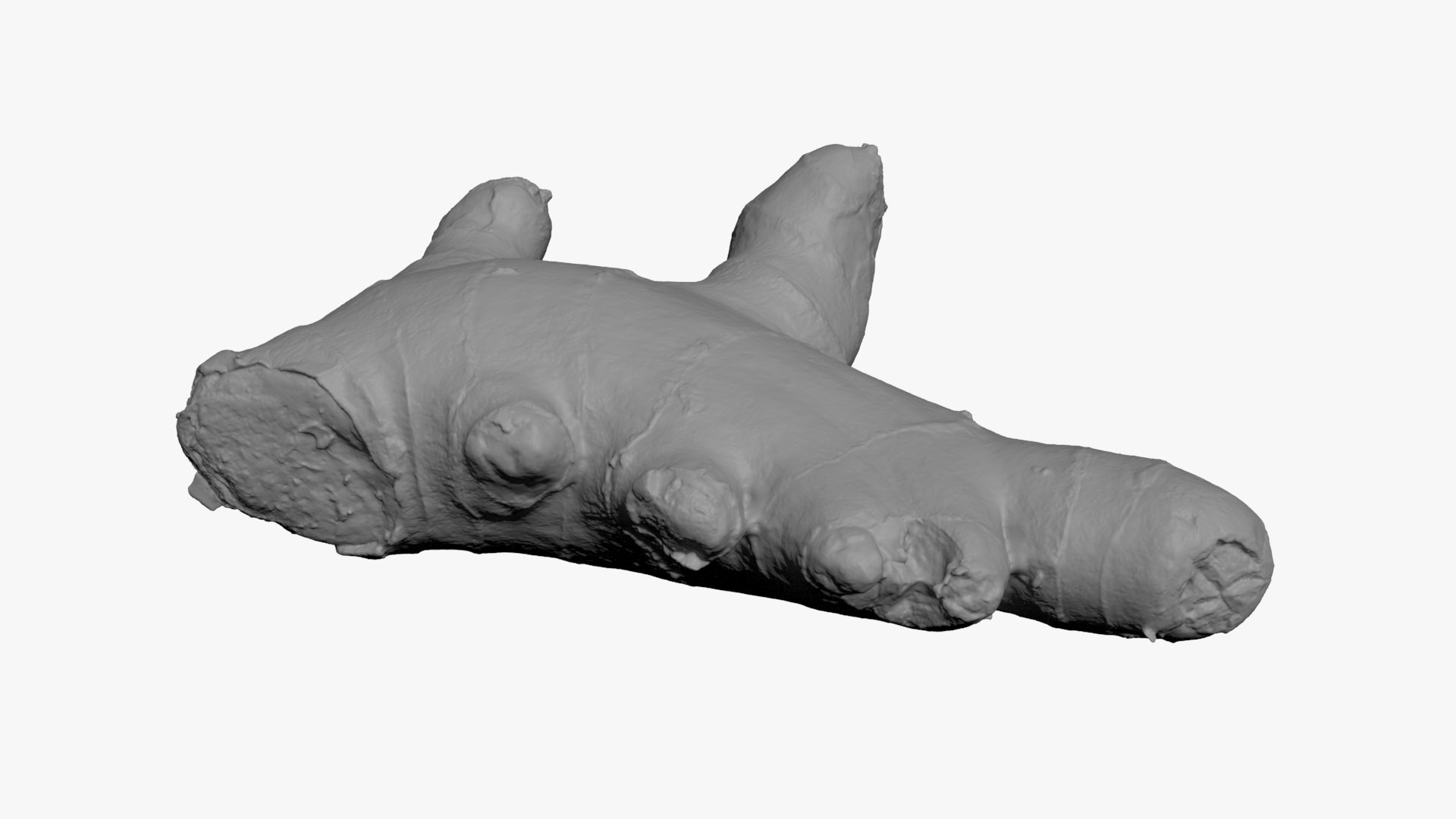 Ginger Root 01 For 3D Print 3D - TurboSquid 2387960