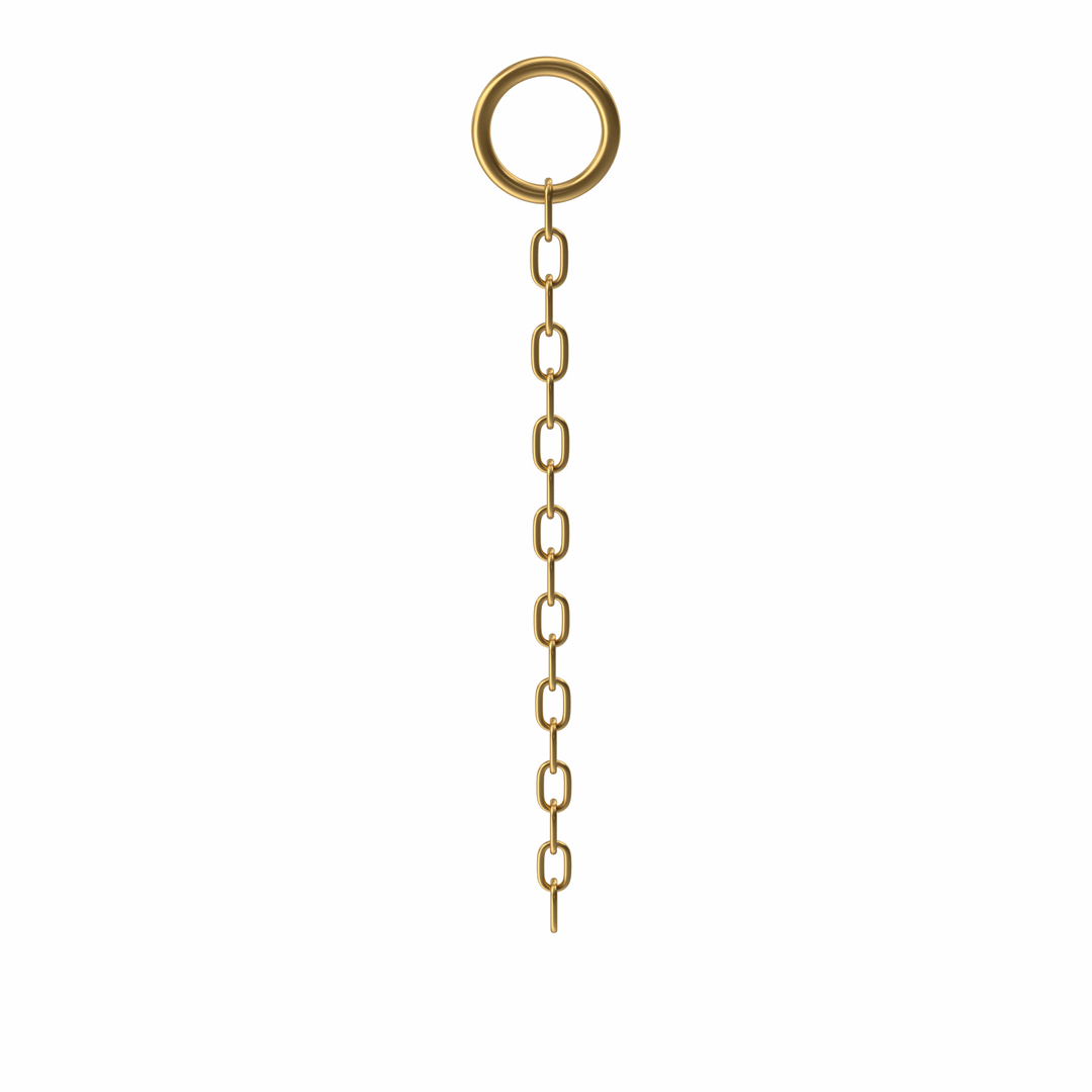 3D Model Gold Hanging Chain - TurboSquid 2000405