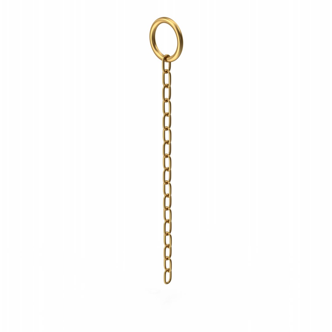3D Model Gold Hanging Chain - TurboSquid 2000405