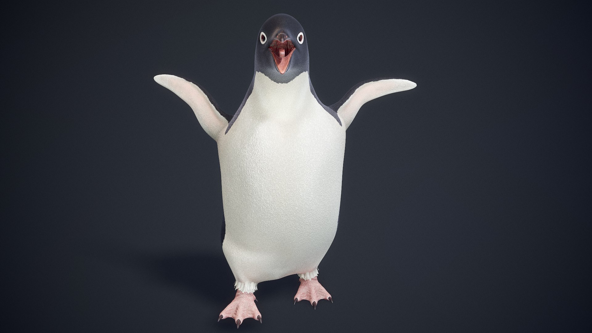 Adelie Penguin Rigged Animation 3D Model - TurboSquid 1571306
