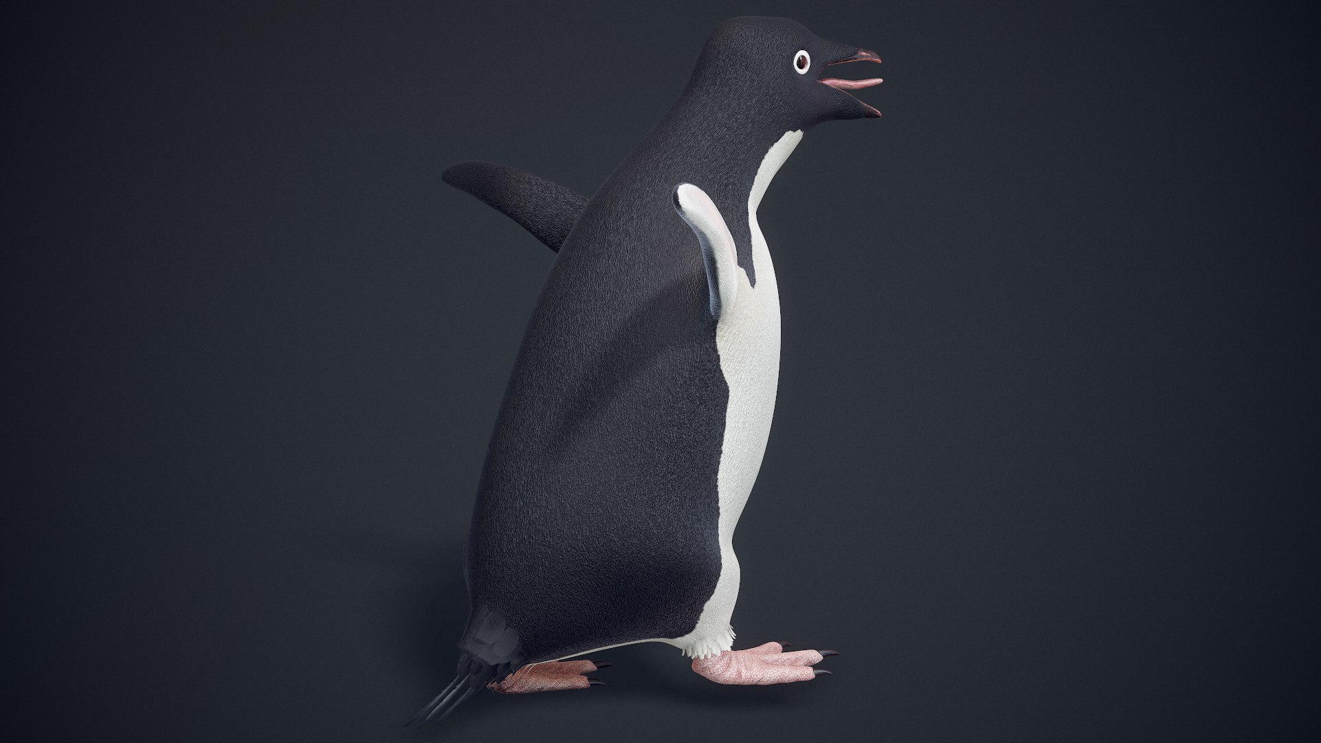 Adelie Penguin Rigged Animation 3D Model - TurboSquid 1571306