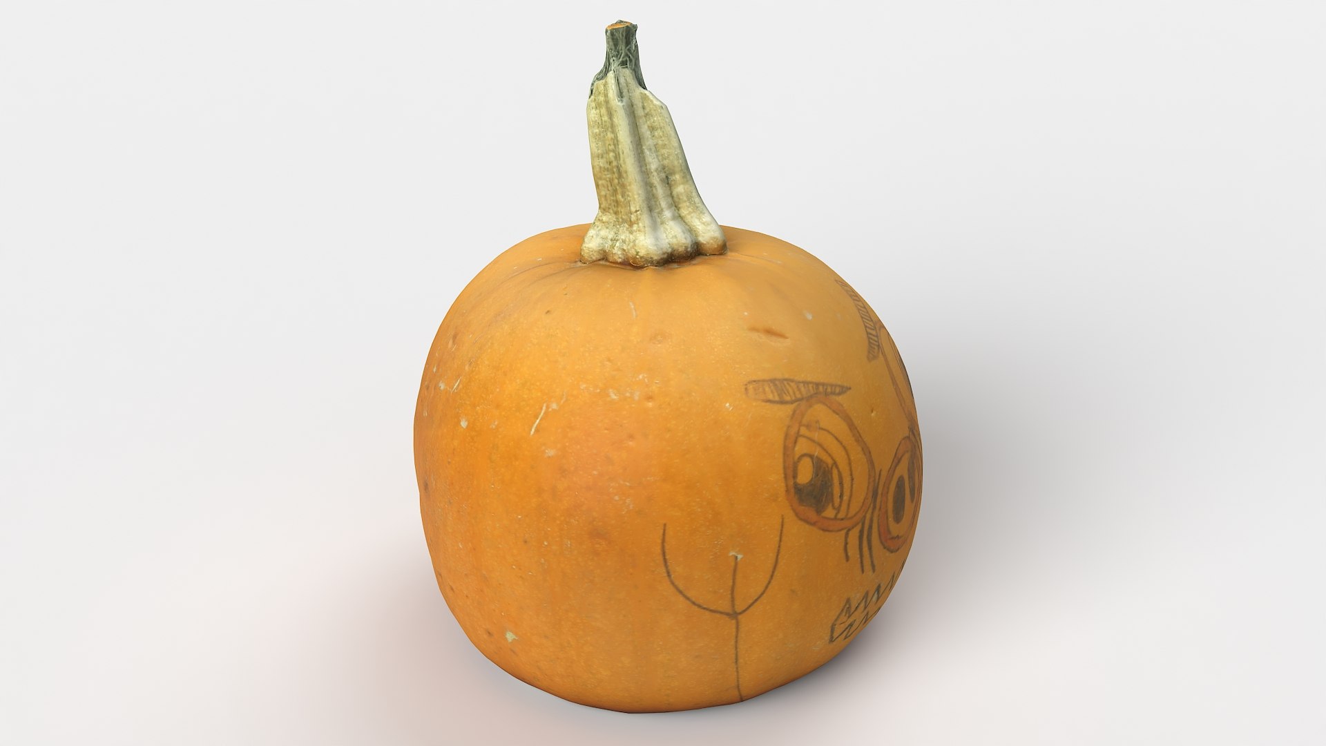 3D Model Pumpkin 05 - TurboSquid 1982321