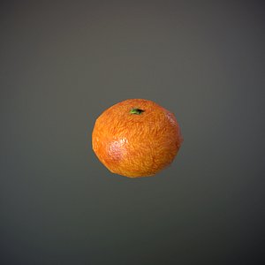 Free Orange Fruit 3D Models for Download | TurboSquid