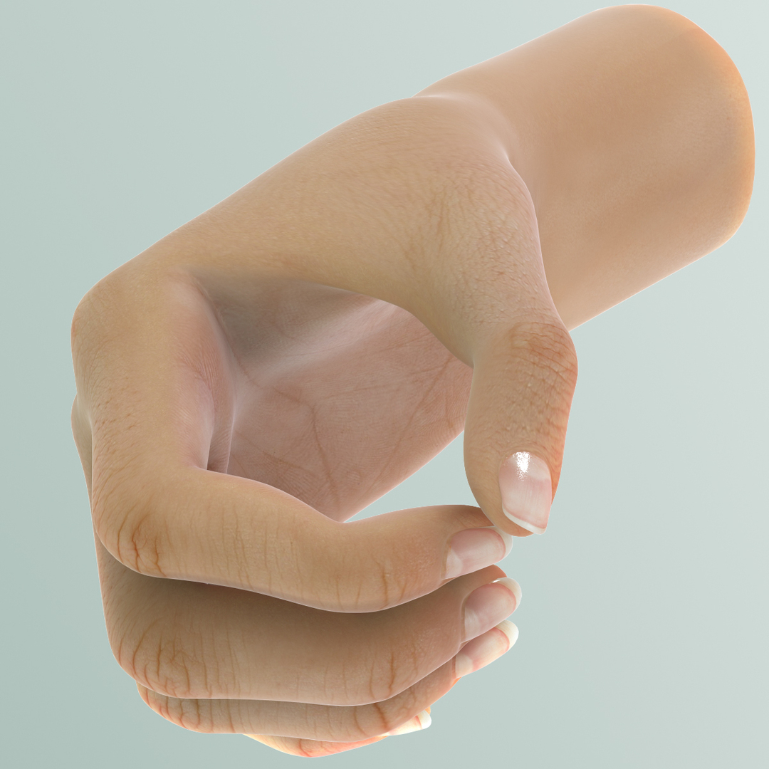 realistic female hand anatomy 3d max