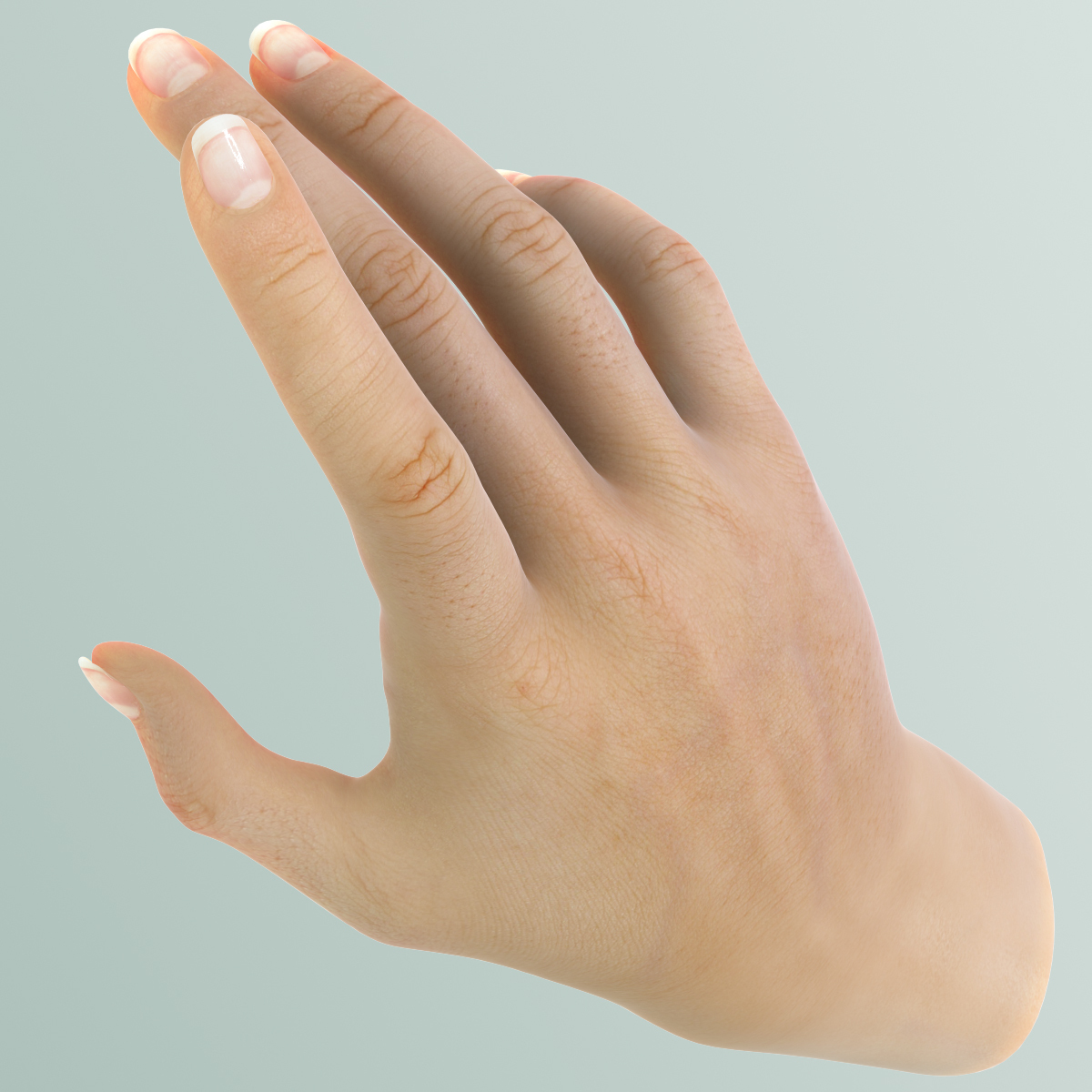 realistic female hand anatomy 3d max