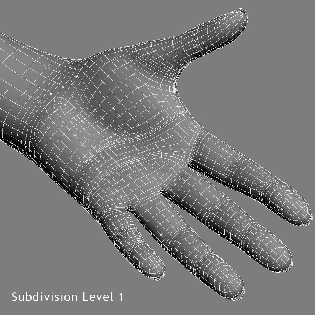 realistic female hand anatomy 3d max
