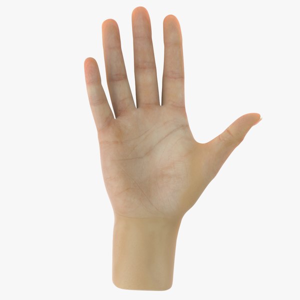 realistic female hand anatomy 3d max