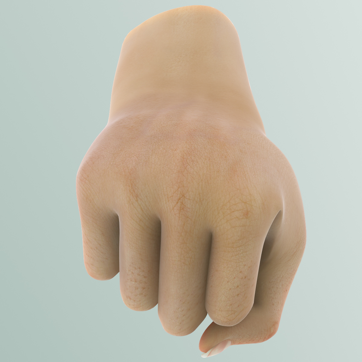 realistic female hand anatomy 3d max