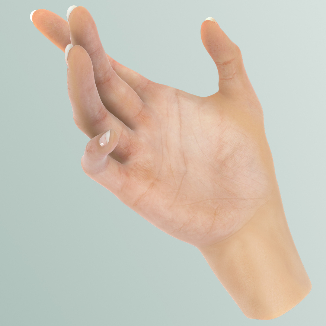 realistic female hand anatomy 3d max