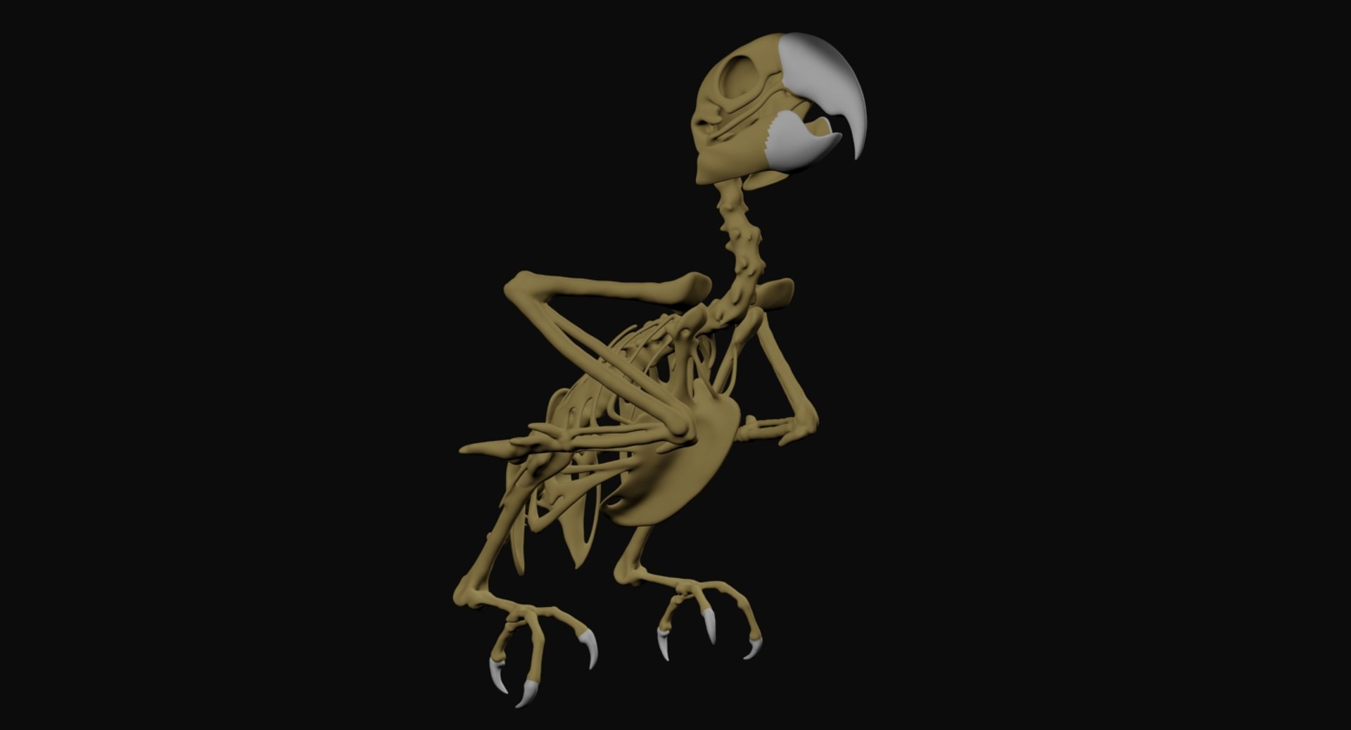 3D Macaw Parrot Skeleton Model - TurboSquid 1329949