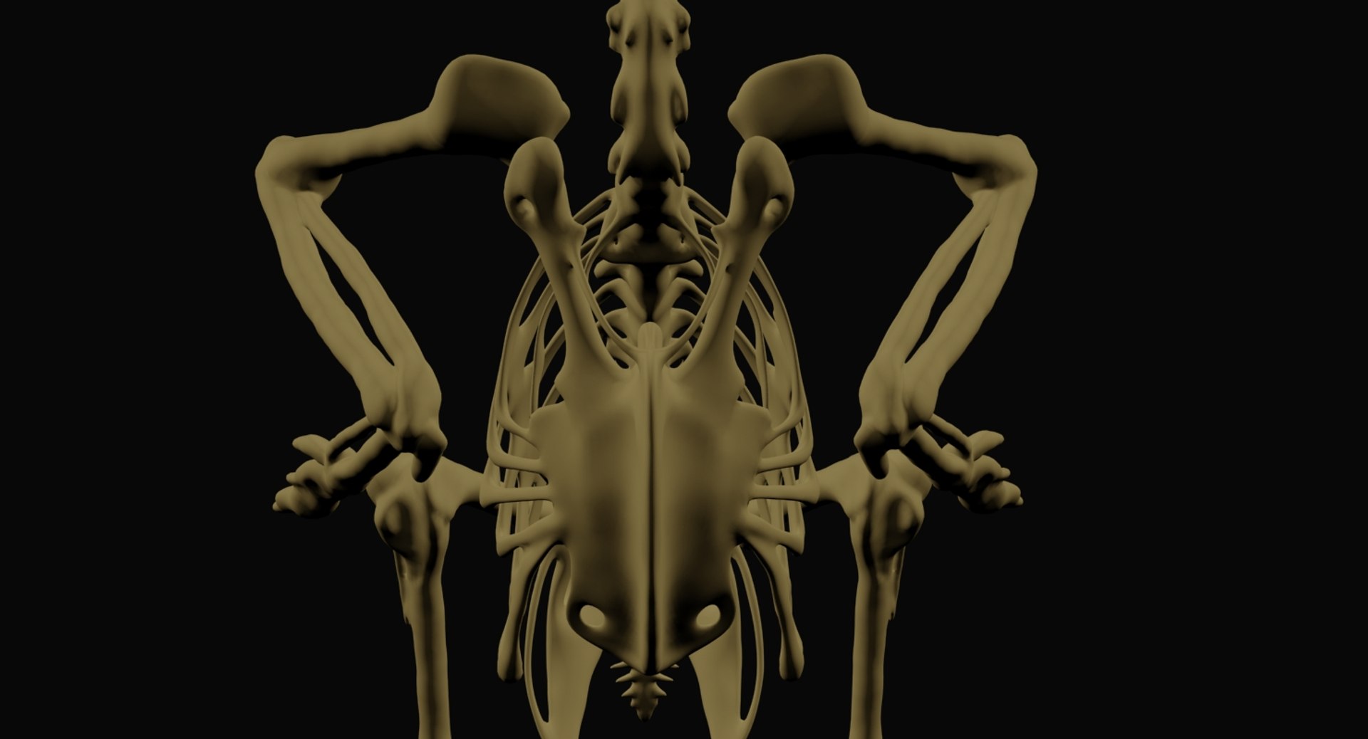 3D Macaw Parrot Skeleton Model - TurboSquid 1329949