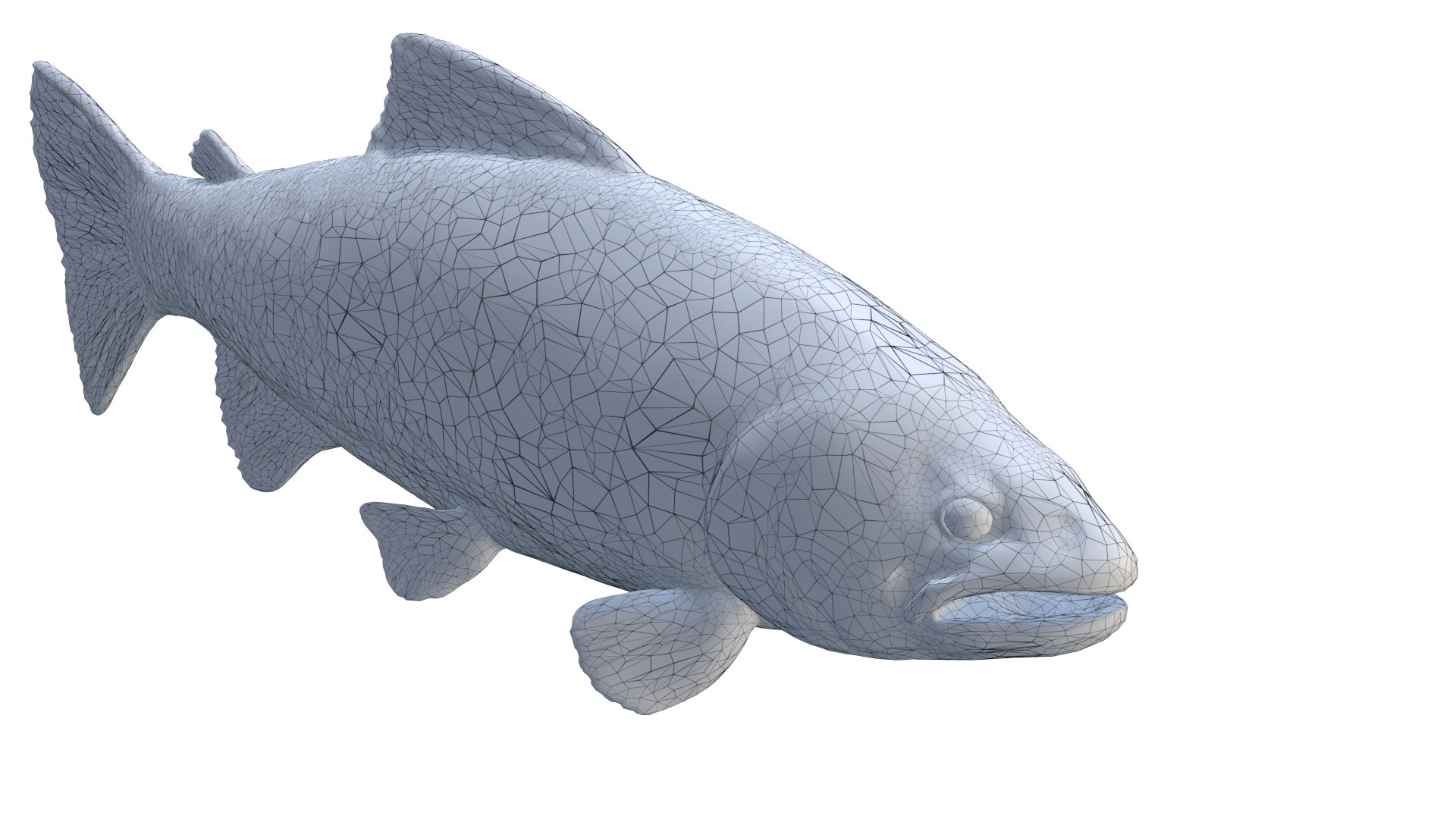 3D Brook Trout Fish 3D Model - TurboSquid 2313518