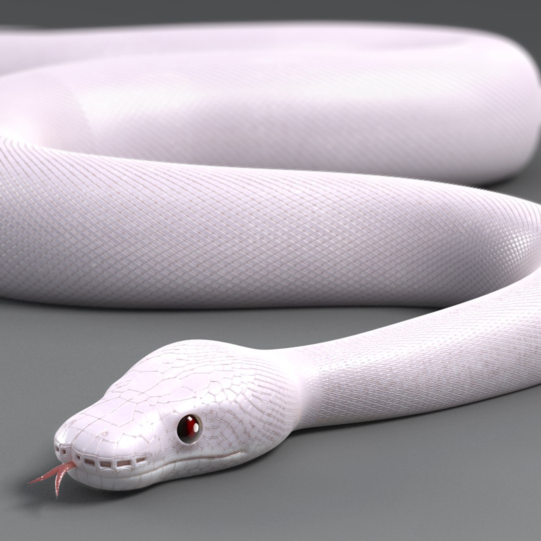 super ball python 3d max