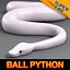 super ball python 3d max