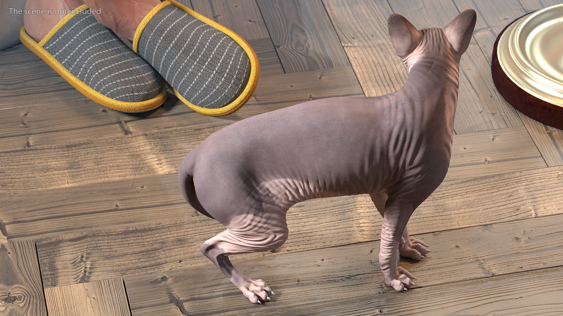 3D Rigged Sphynx Cat With Cat Scratching Post Collection Model ...