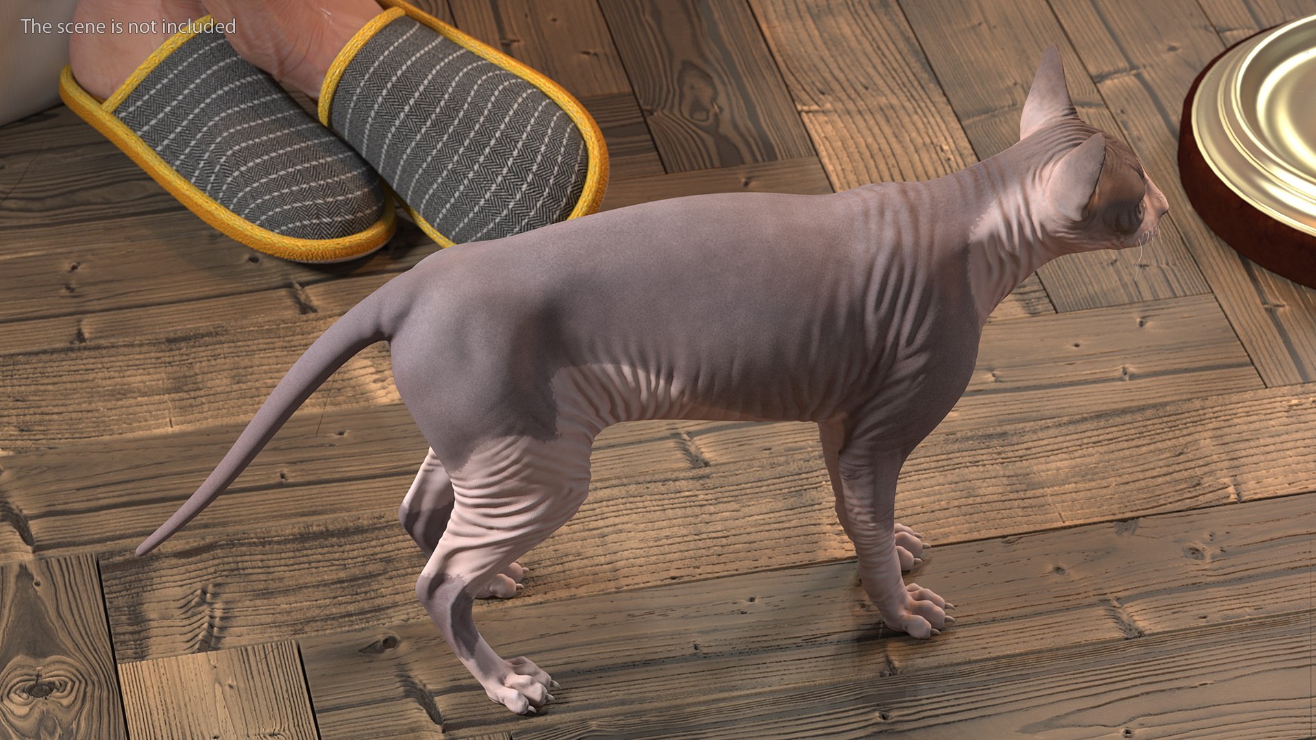 3D Rigged Sphynx Cat With Cat Scratching Post Collection Model ...