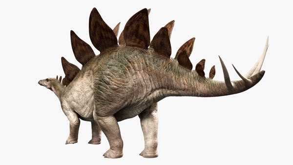 Realistic stegosaurus 3D - TurboSquid 1350623