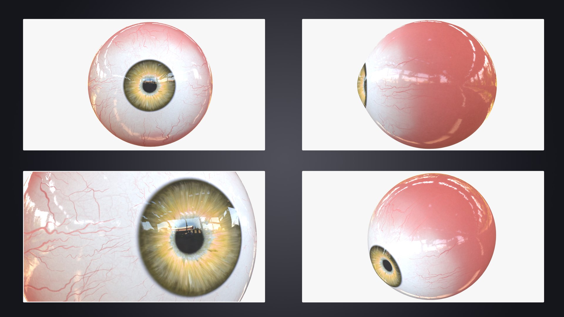 3D real eyes realistic model - TurboSquid 1588276