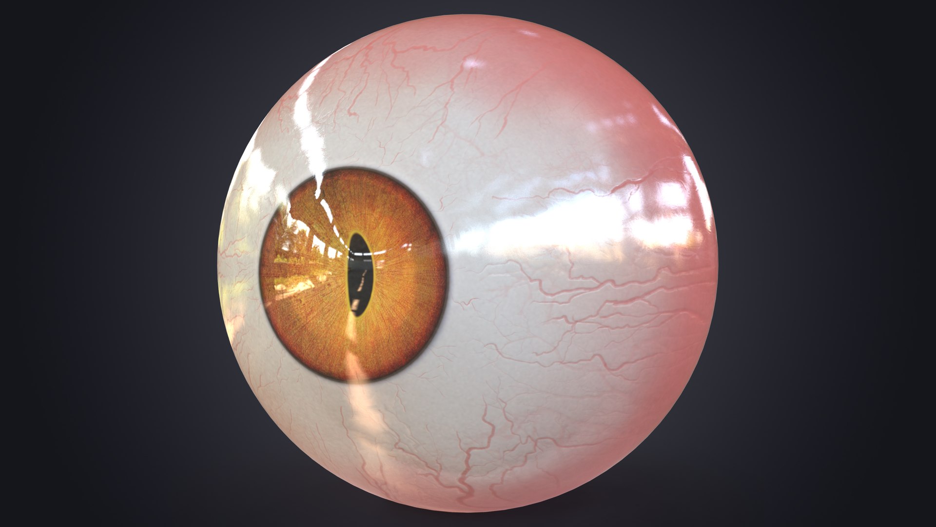 3D real eyes realistic model - TurboSquid 1588276