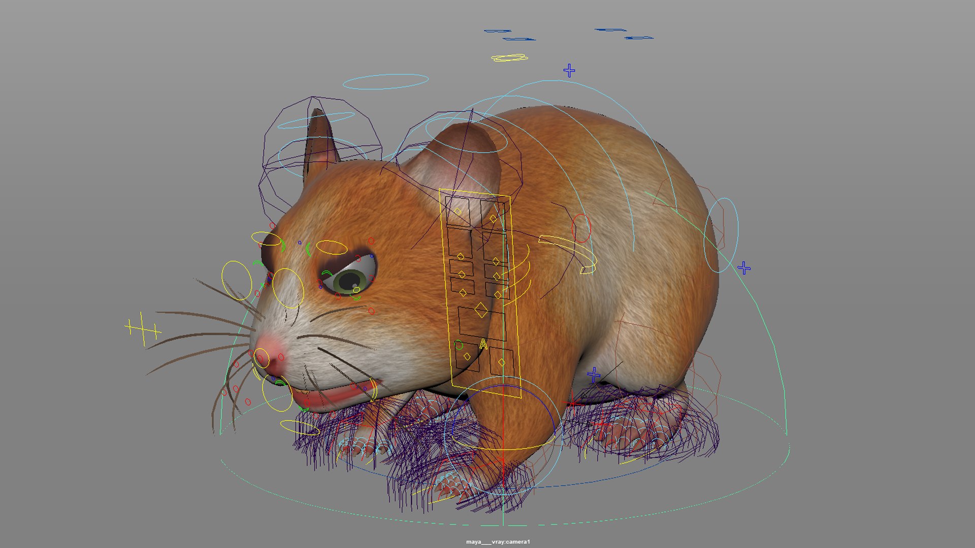 Hamstermodel 3D Model - TurboSquid 2315090