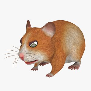 3D Hamster Models | TurboSquid