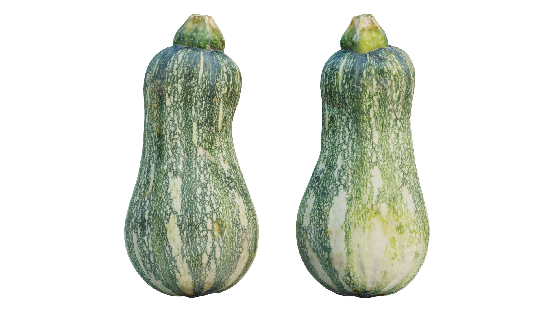 Squash Barbara Butternut 02 3D - TurboSquid 1903258