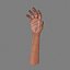 Human Hand Max