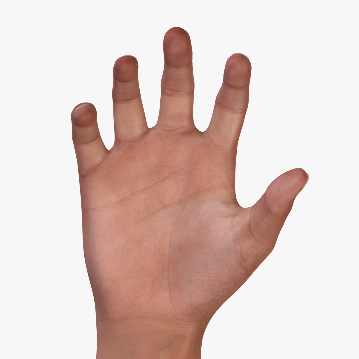 human hand max
